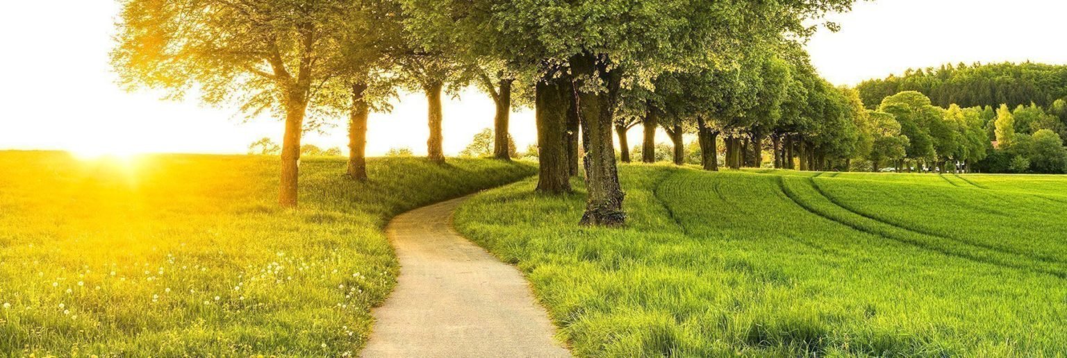 Classical Educator’s Reading List – ClassicalU