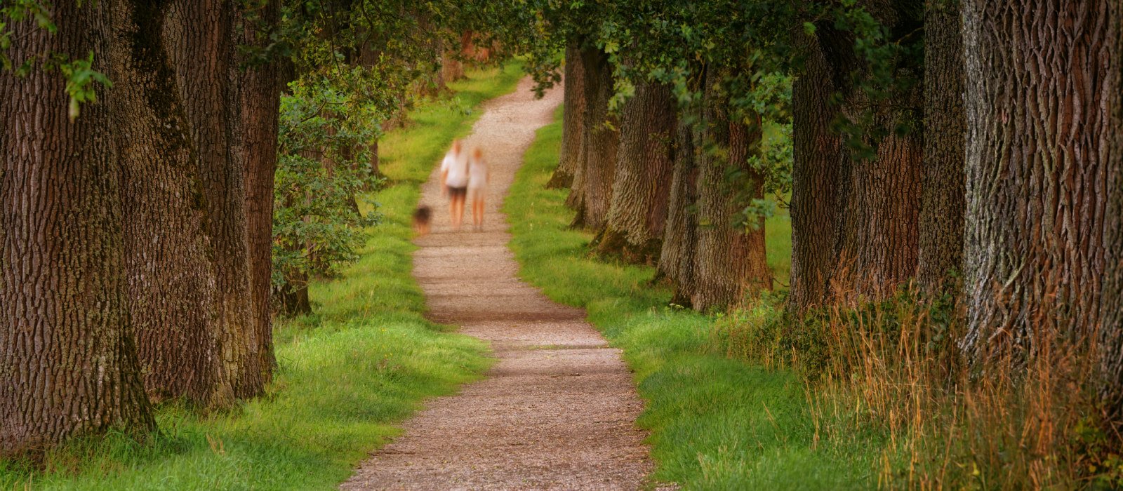 Graduate Credits on ClassicalU! – ClassicalU